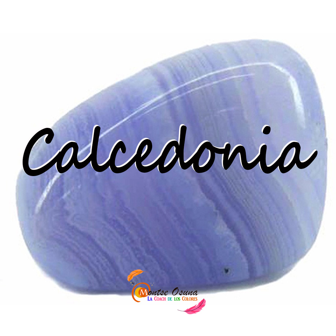 CALCEDONIA - Montse Osuna coach